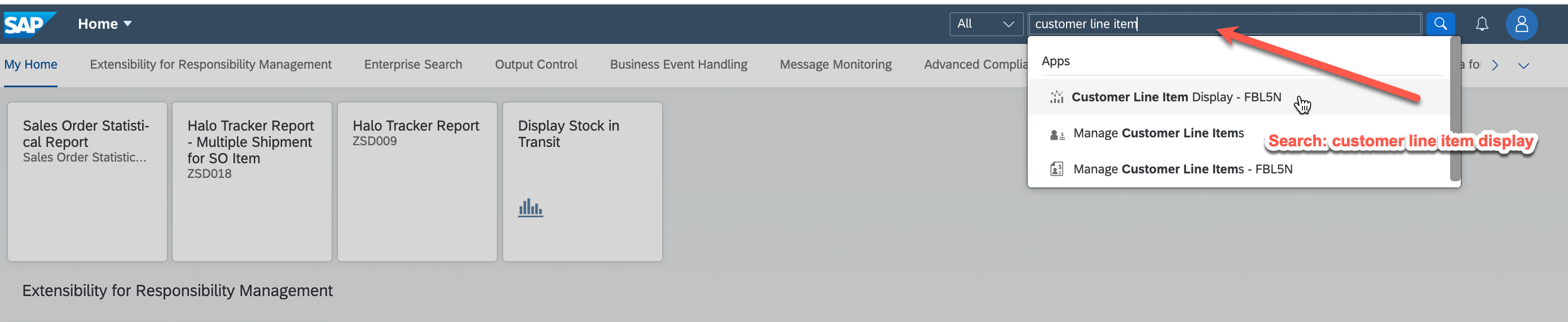 SAP-FICO: How to display POS Deposite